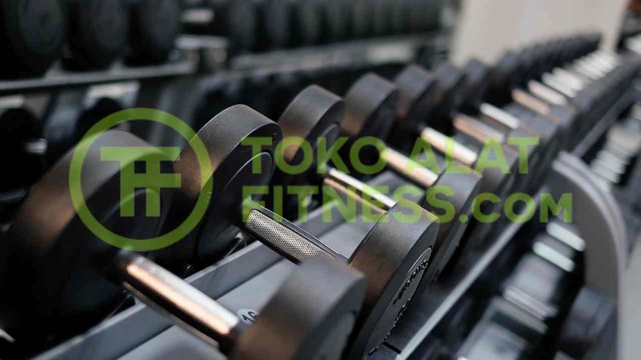 5 Alat fitnessgym yang Wajib Ada di Gym untuk Pemula dan Pro ...
